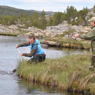 Spennende fiske i 1000 vann - Hitra | inatur.no