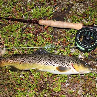 Fiske i Vorma Vest | inatur.no