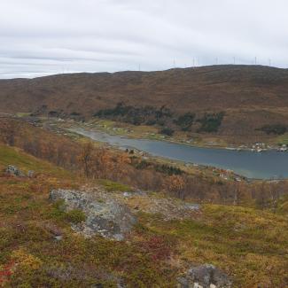Småviltjakt i Sjøtun og Sandneshamn 2023 - Kvaløya | inatur.no