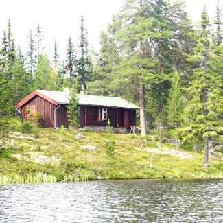 Hytte ved fiskevann i Rendalen | inatur.no
