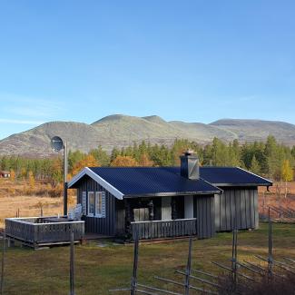 Koselig hytte i Jota seter ved Sølen. Småvilt/reinsjakt. Fiske i Mistra ...
